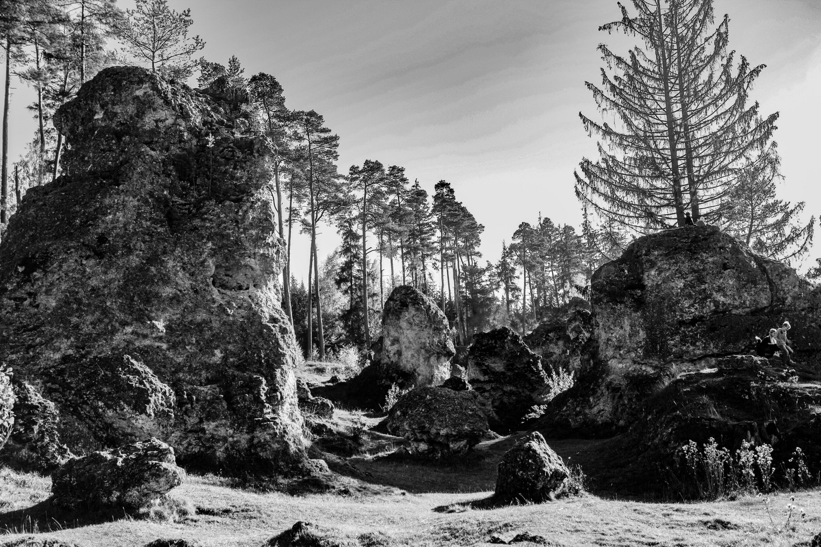 Steiniger Weg Foto & Bild | landschaft, wege und pfade, wald Bilder auf ...