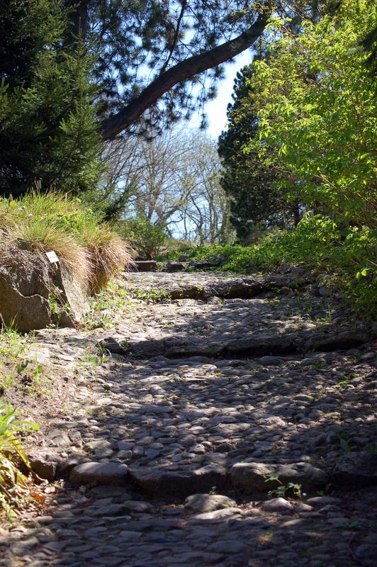 Steiniger Weg Foto & Bild | natur, youth Bilder auf fotocommunity