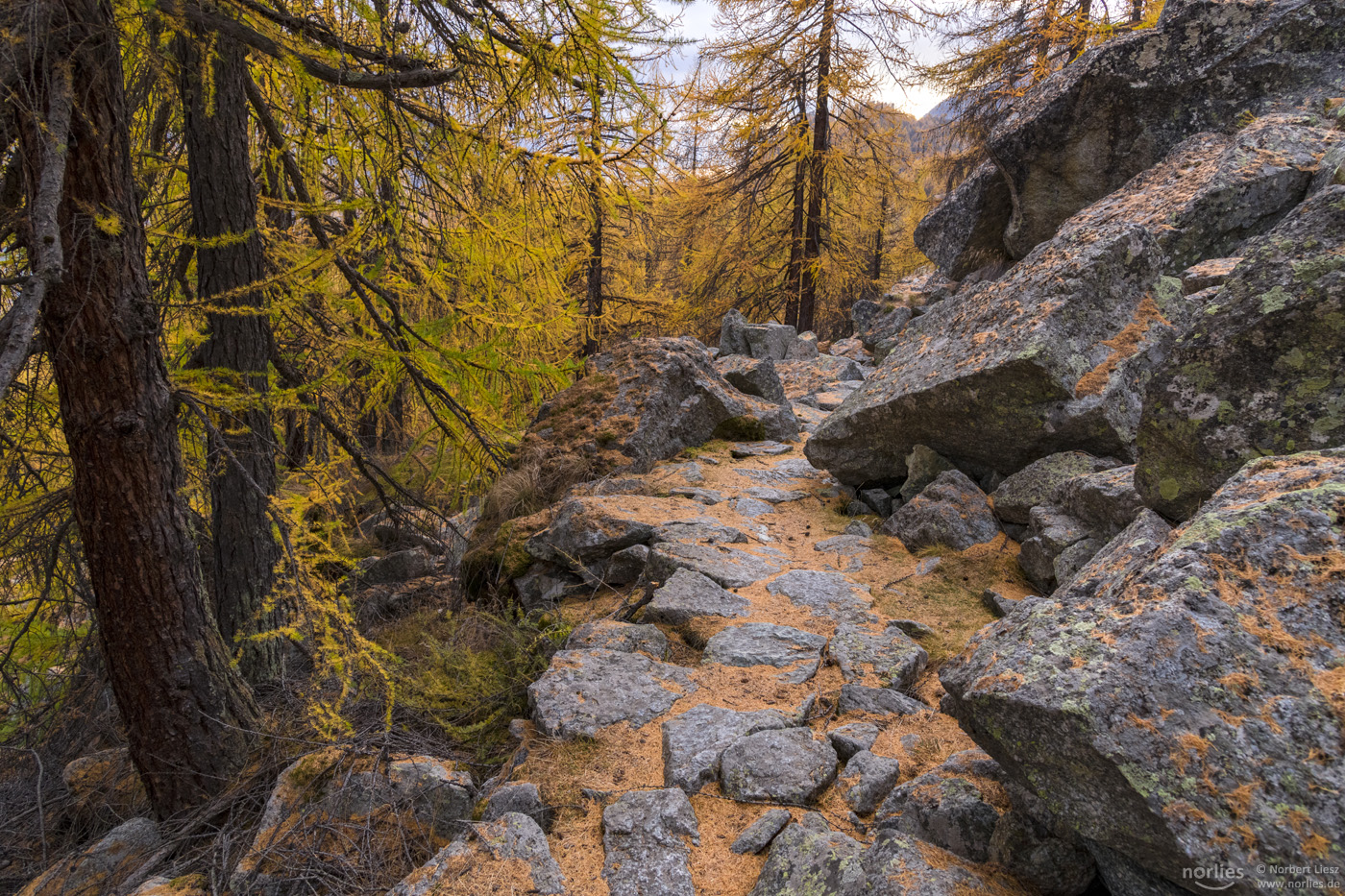 Steiniger Weg Foto & Bild | europe, schweiz & liechtenstein, landschaft ...