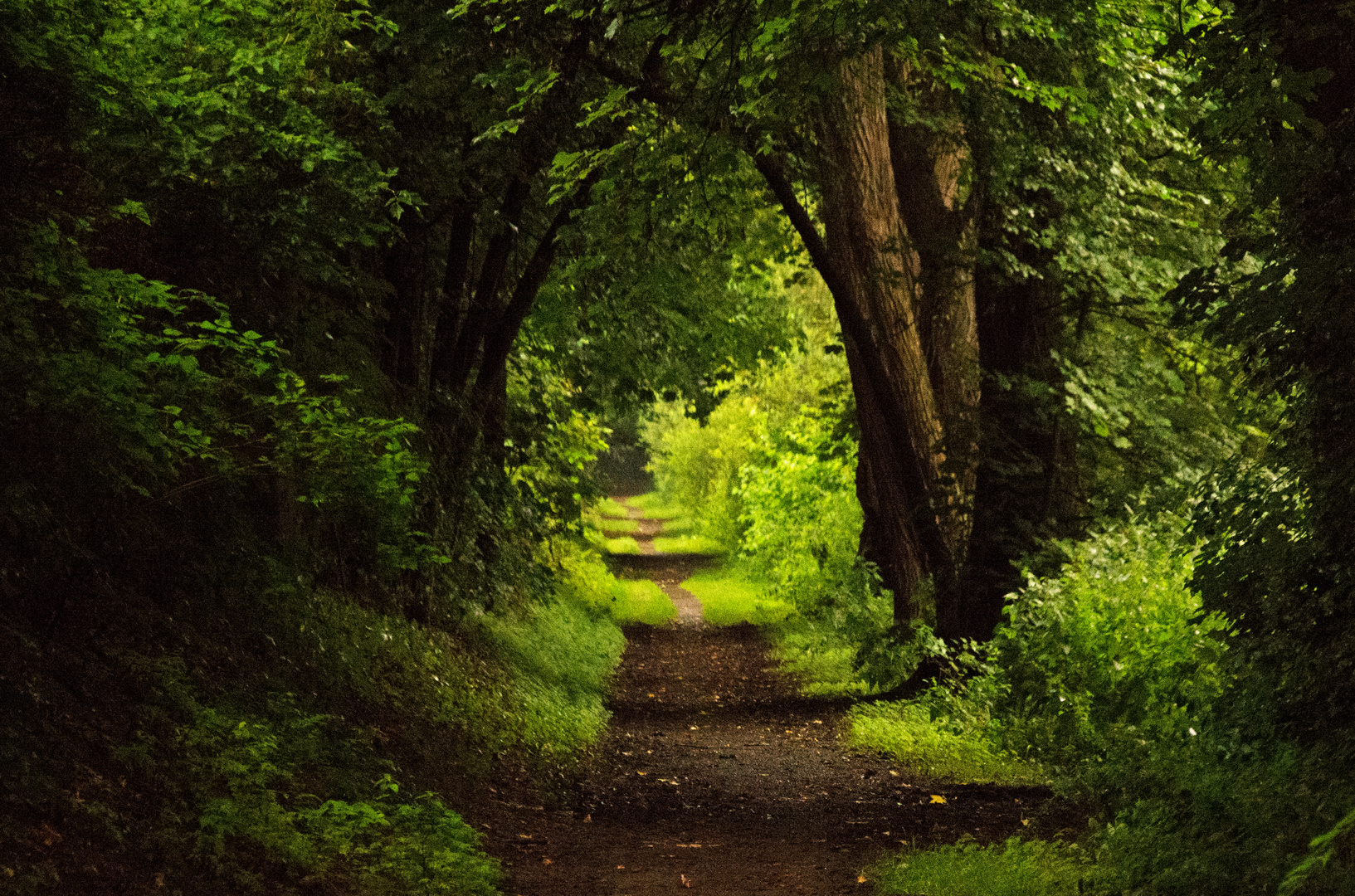 Steiniger Weg Foto & Bild | landschaft, meine best of, fotos Bilder auf ...