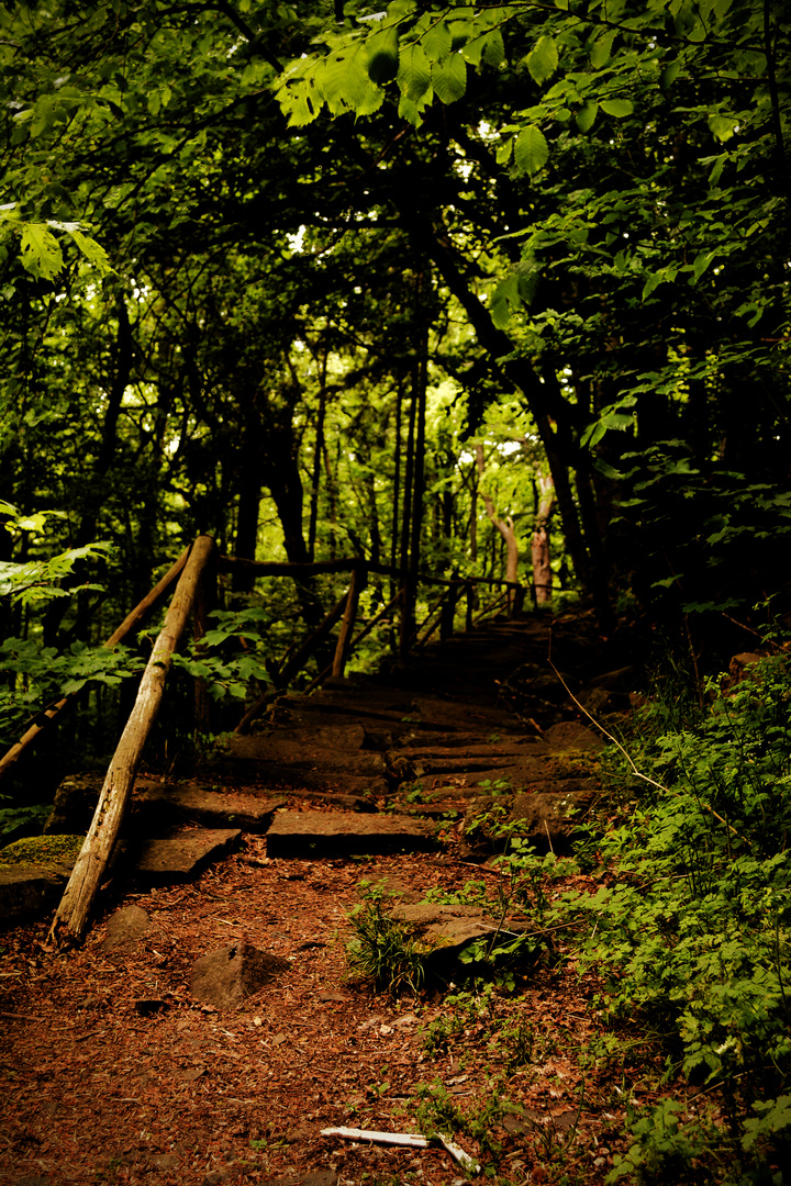Steiniger Weg Foto & Bild | landschaft, wald, natur Bilder auf ...