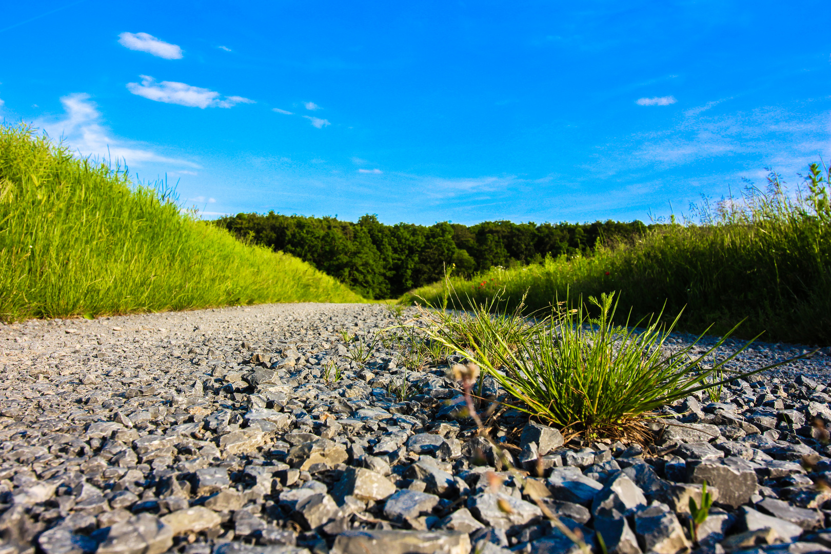 steiniger Weg Foto & Bild | bäume, feld, natur Bilder auf fotocommunity