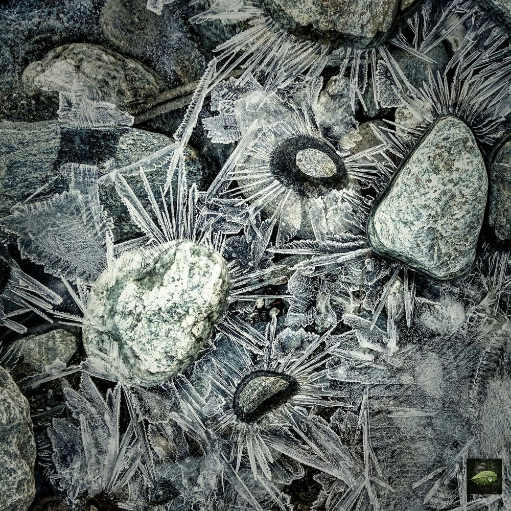 Steinkristalle Foto & Bild | archiv projekte naturchannel ...