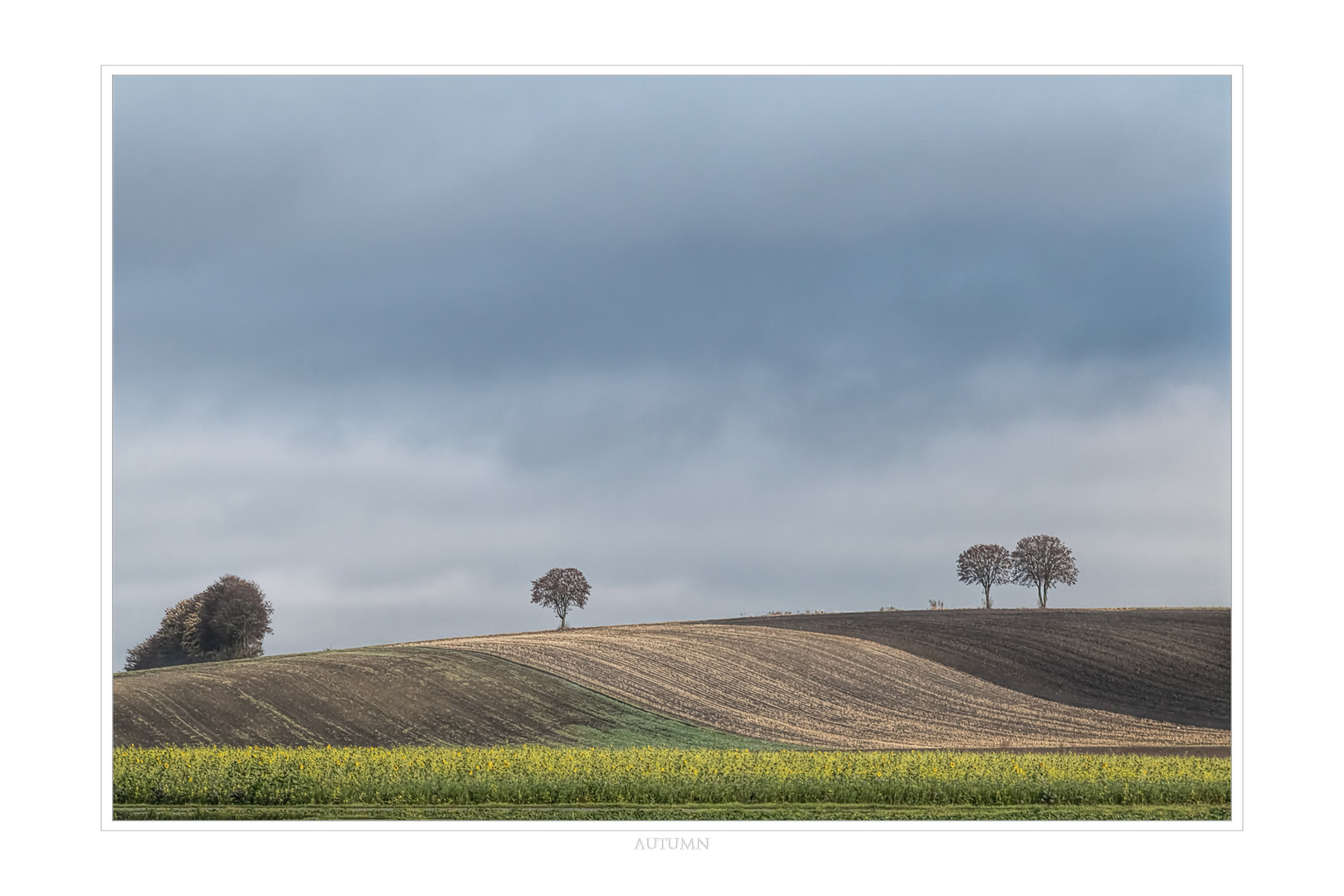 Stemwede Foto & Bild | landschaft, bäume, felder Bilder auf fotocommunity