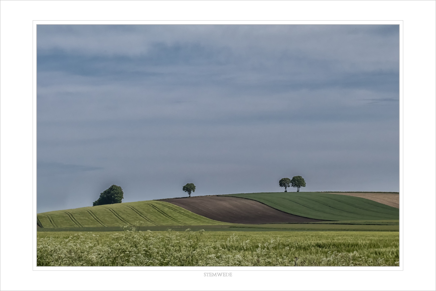 Stemwede Foto & Bild | bäume, felder, landschaft Bilder auf fotocommunity