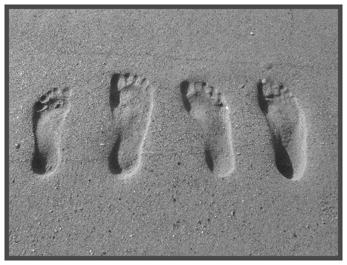 step by step Foto & Bild | natur-kreativ, aufnahmetechniken, natur fine ...