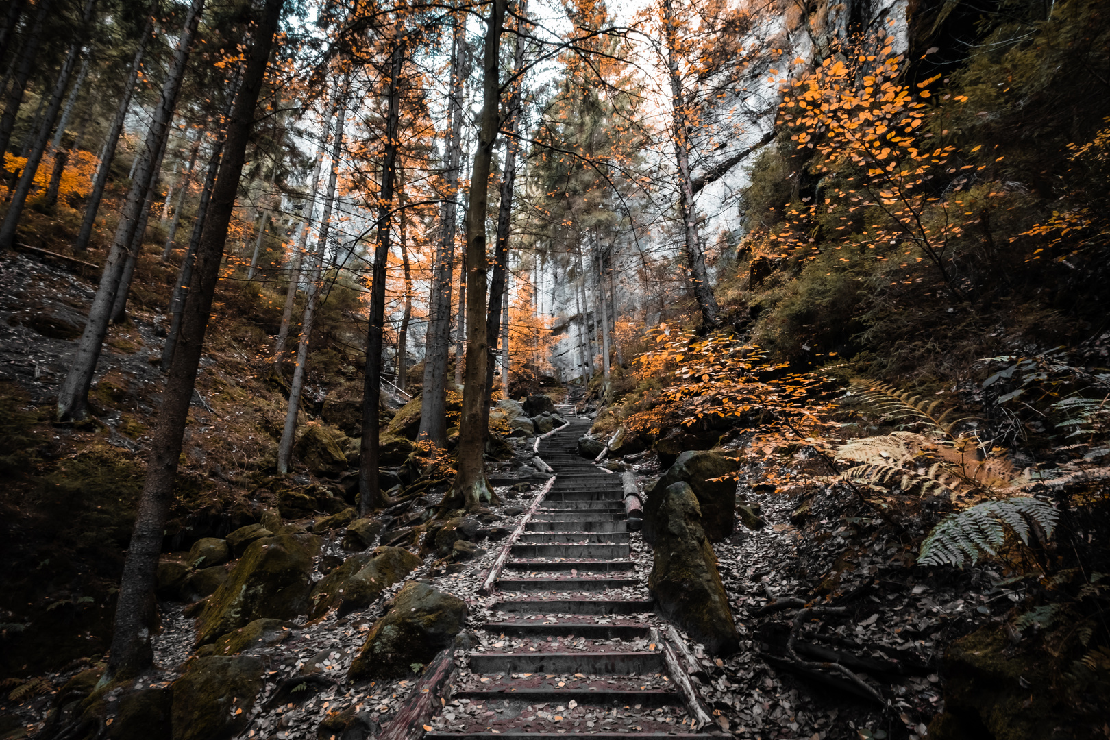 Step By Step Foto & Bild | deutschland, europe, sachsen Bilder auf ...