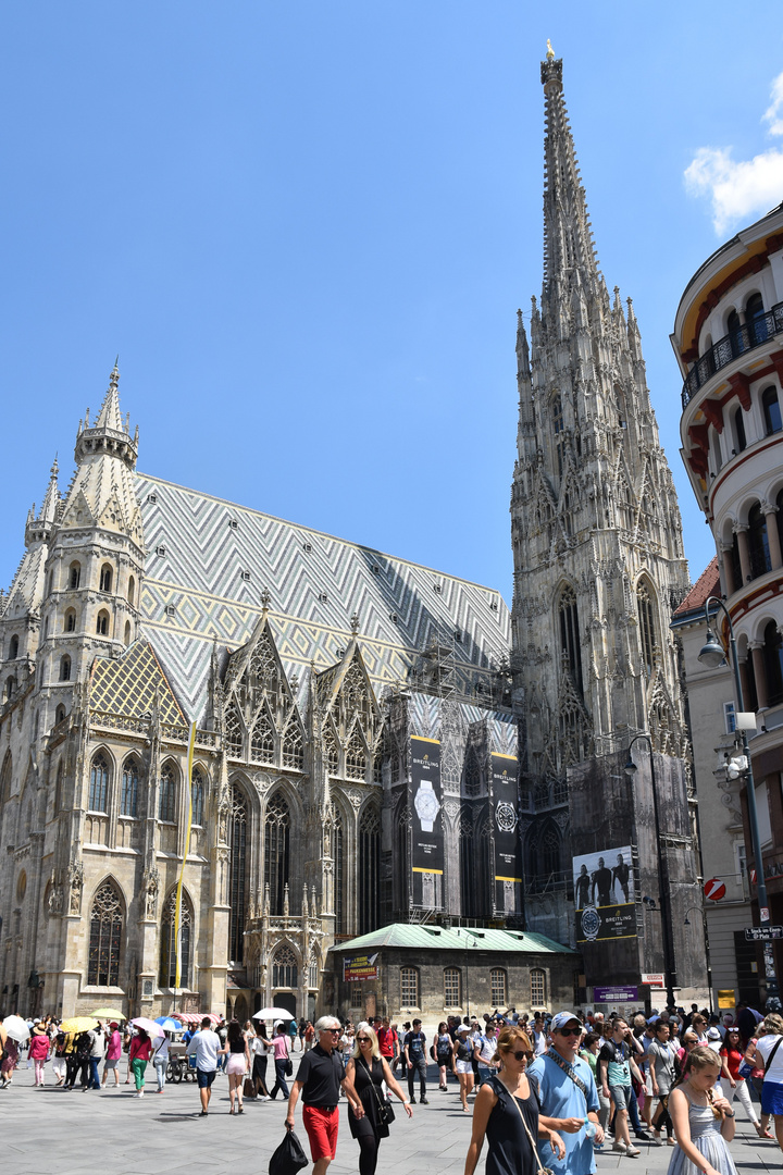 Stephansdom Foto & Bild | world, dokumentation, wien Bilder auf ...