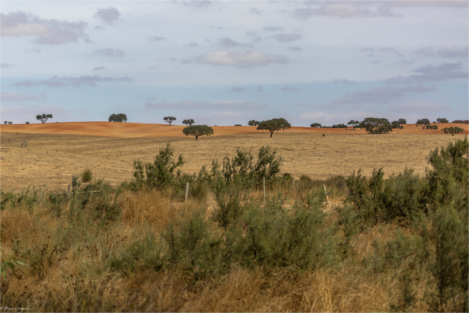 Steppen ähnlich ... Foto & Bild | europe, portugal, landschaft Bilder ...