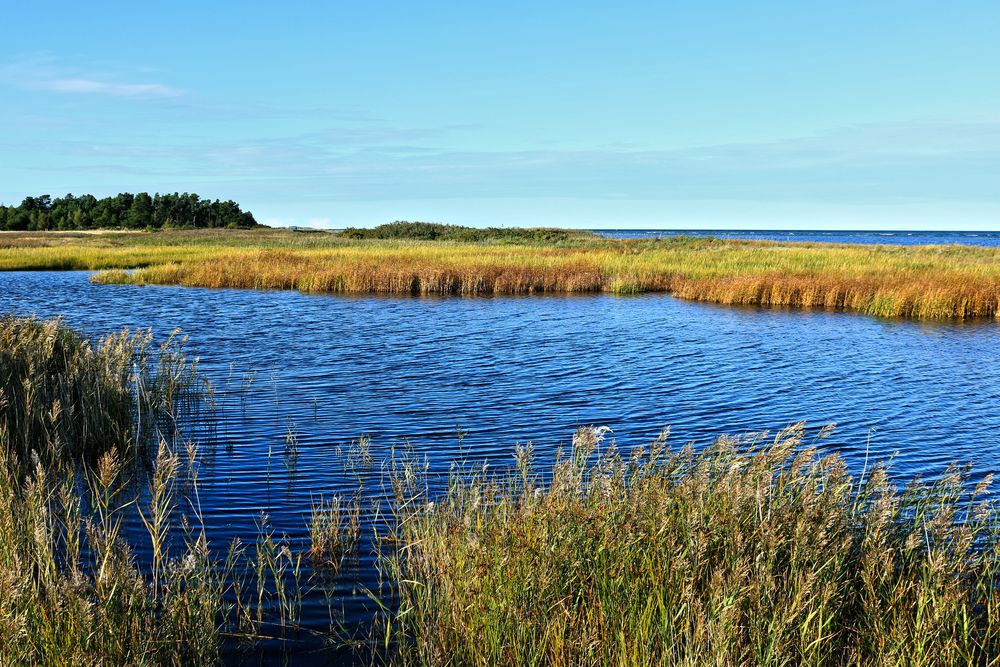 Øster Hurup - South Coast (4) Foto & Bild | europe, scandinavia ...