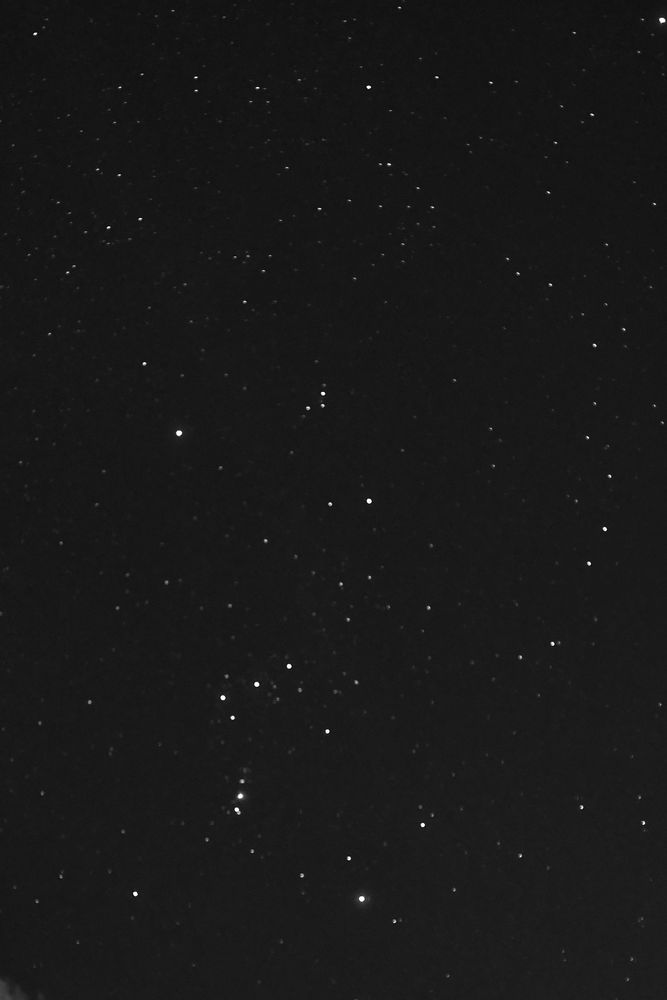 Sternbild Orion Foto & Bild | jahreszeiten, himmel, himmel & universum ...