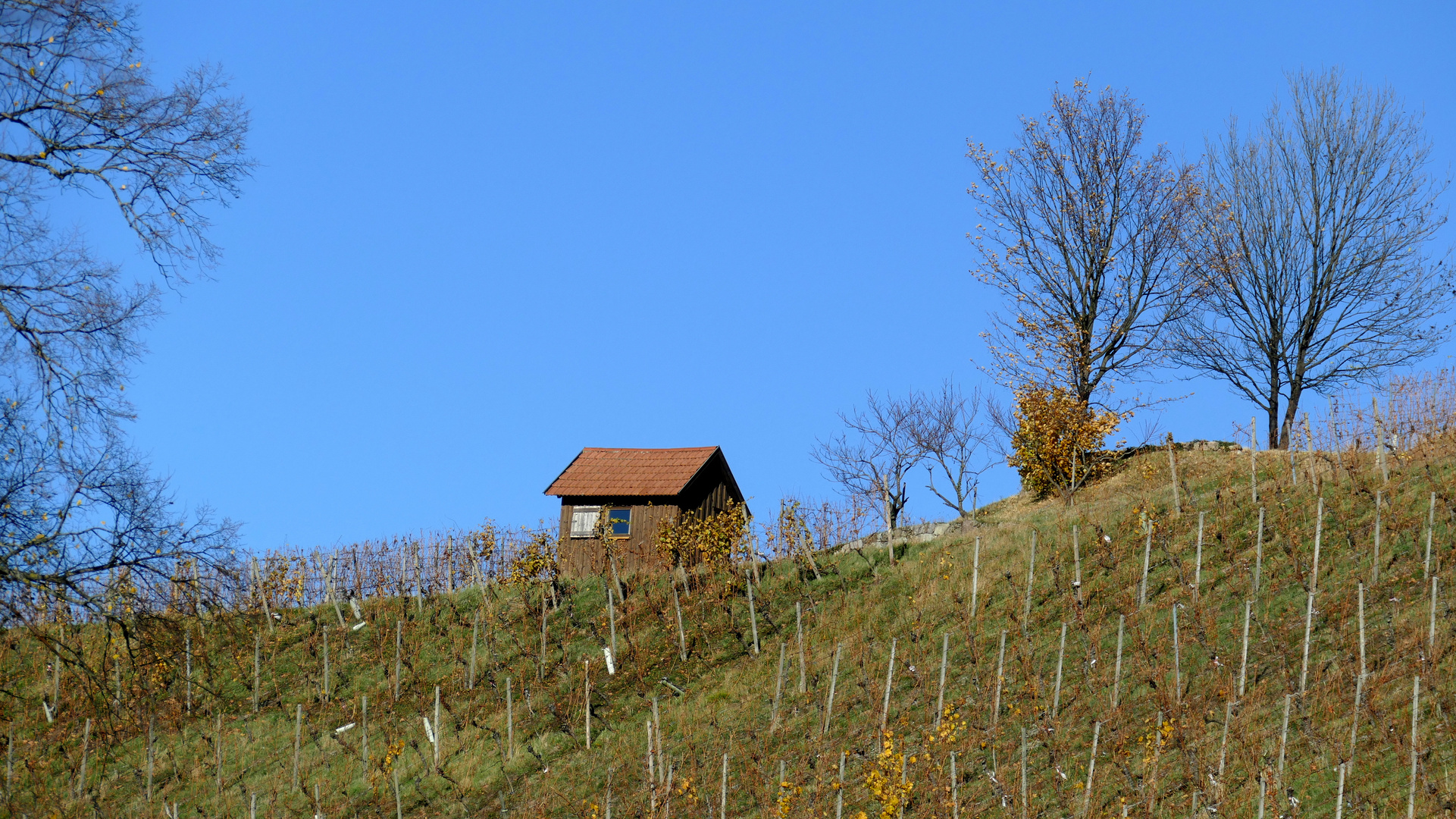 Stich den Buben °°°° Foto & Bild | deutschland, europe, baden ...