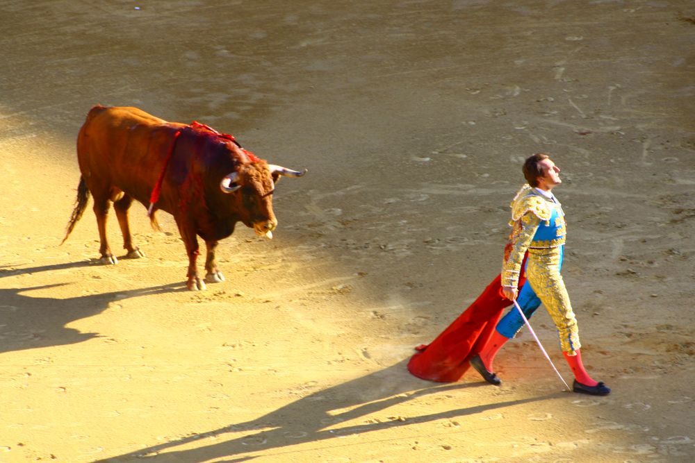 Stierkampf Foto & Bild | reisen, europa, youth Bilder auf fotocommunity