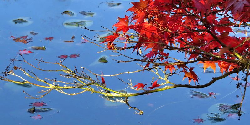 Emotions Pictures & Photos