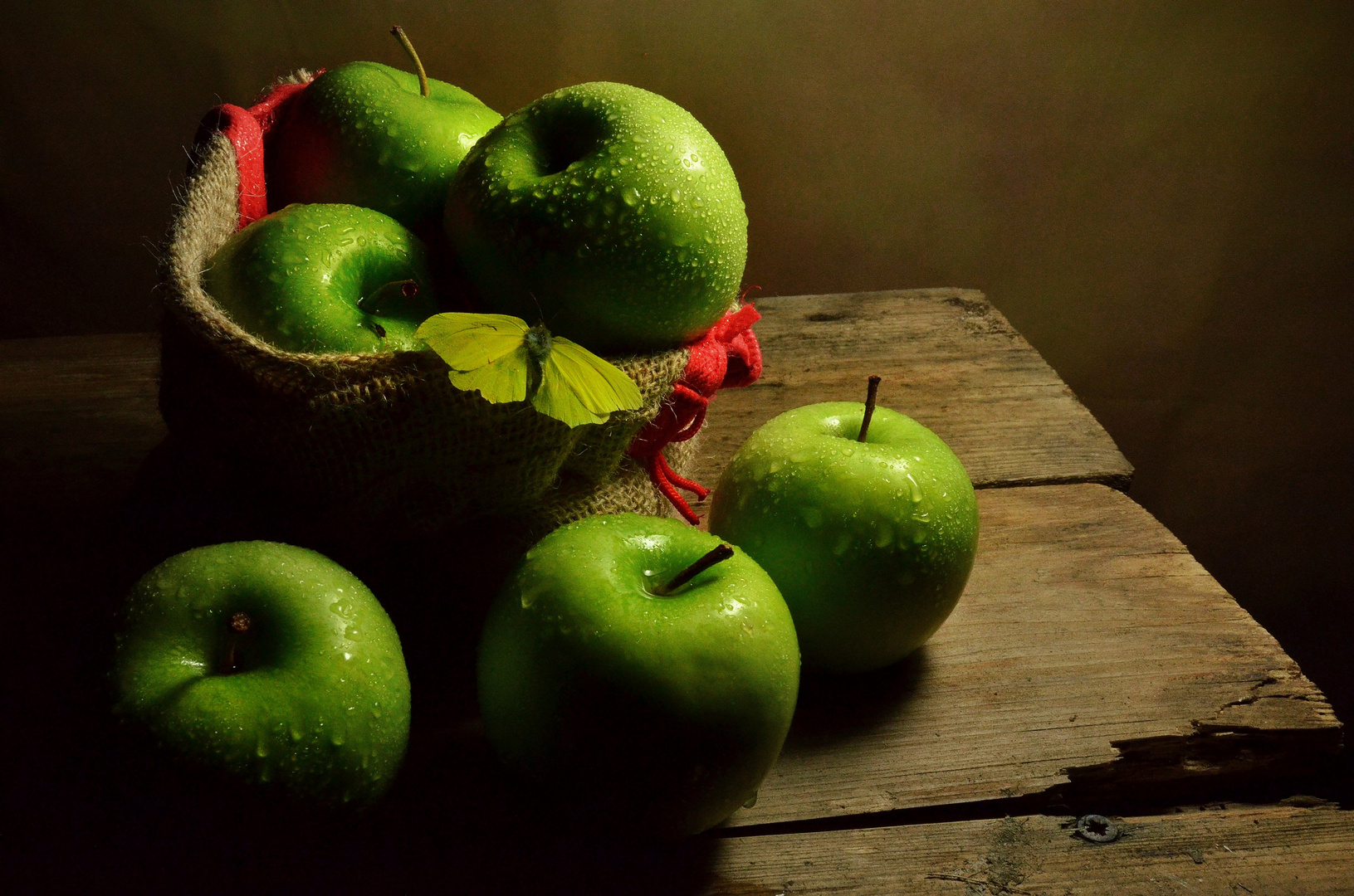 Still Life Foto & Bild | apple, natur, green Bilder auf fotocommunity