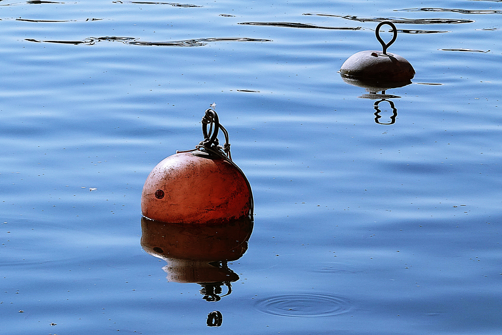 still ruhen die Bojen am blue monday Foto & Bild | wasser, see, boje Bilder auf fotocommunity