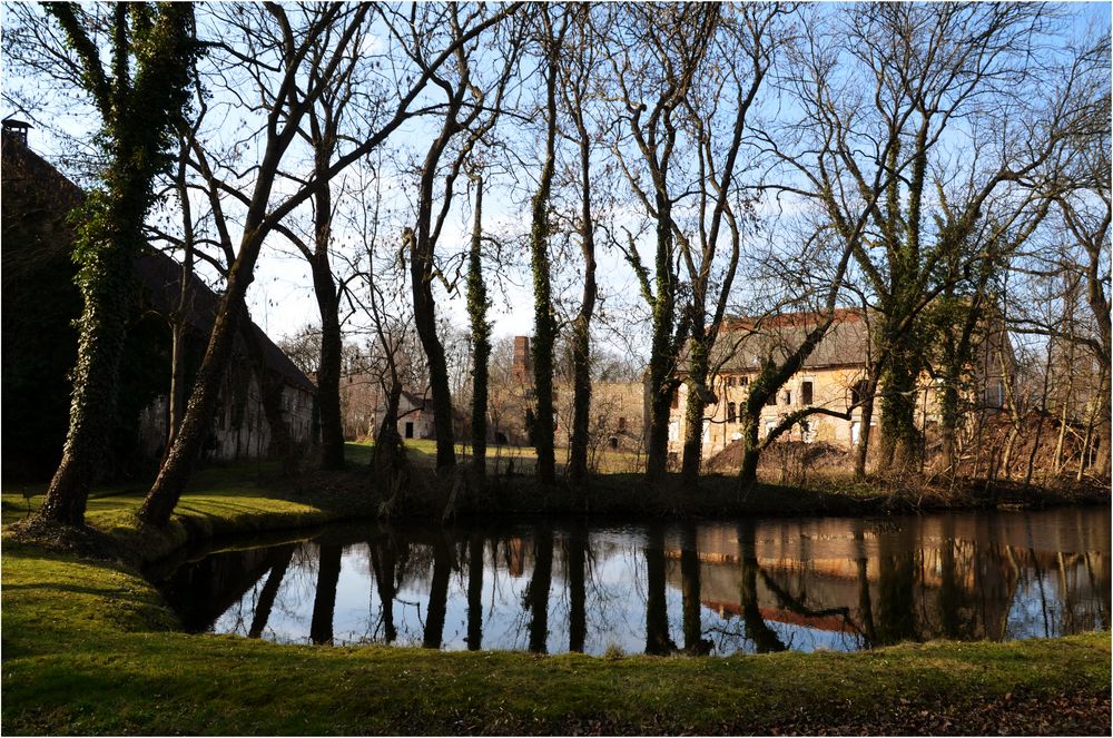 still ruht der See Foto & Bild | spezial, natur, see Bilder auf ...