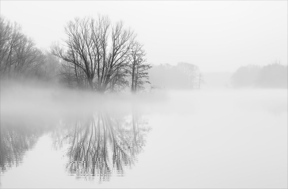 °Stille° Foto & Bild | landschaft, fotos, bäume Bilder auf fotocommunity