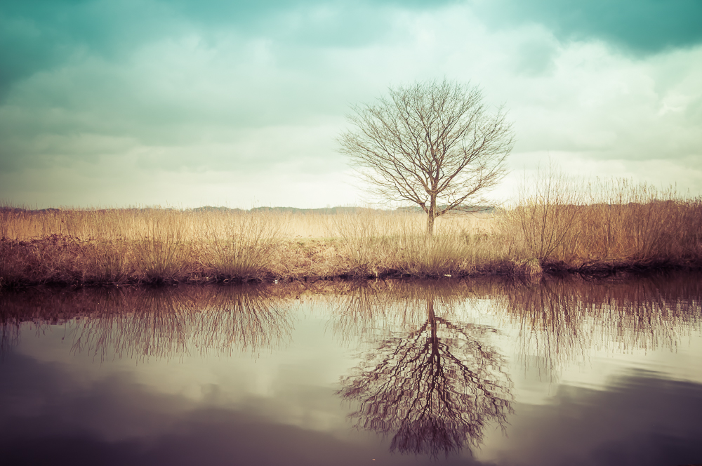 Stille Foto & Bild | landschaften, natur, landschaft Bilder auf ...