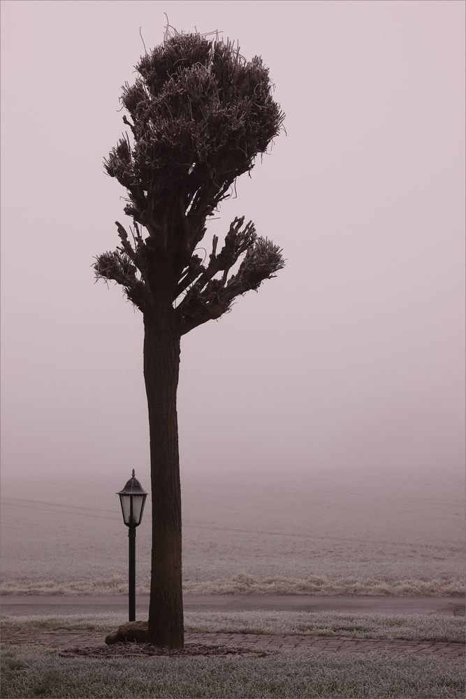 Stille... Foto & Bild | laterne, stille, ruhe Bilder auf fotocommunity