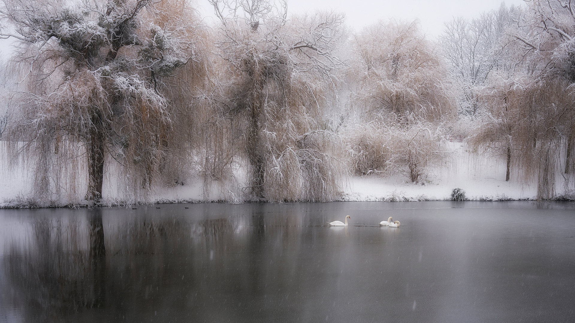 Stille Foto & Bild | europe, Österreich, landschaft Bilder auf ...