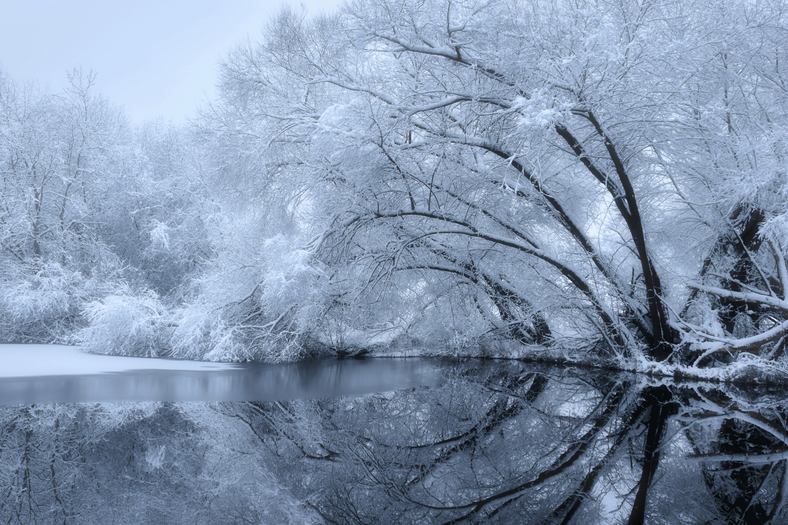 Stille Foto & Bild | fotos, spezial, bäume Bilder auf fotocommunity