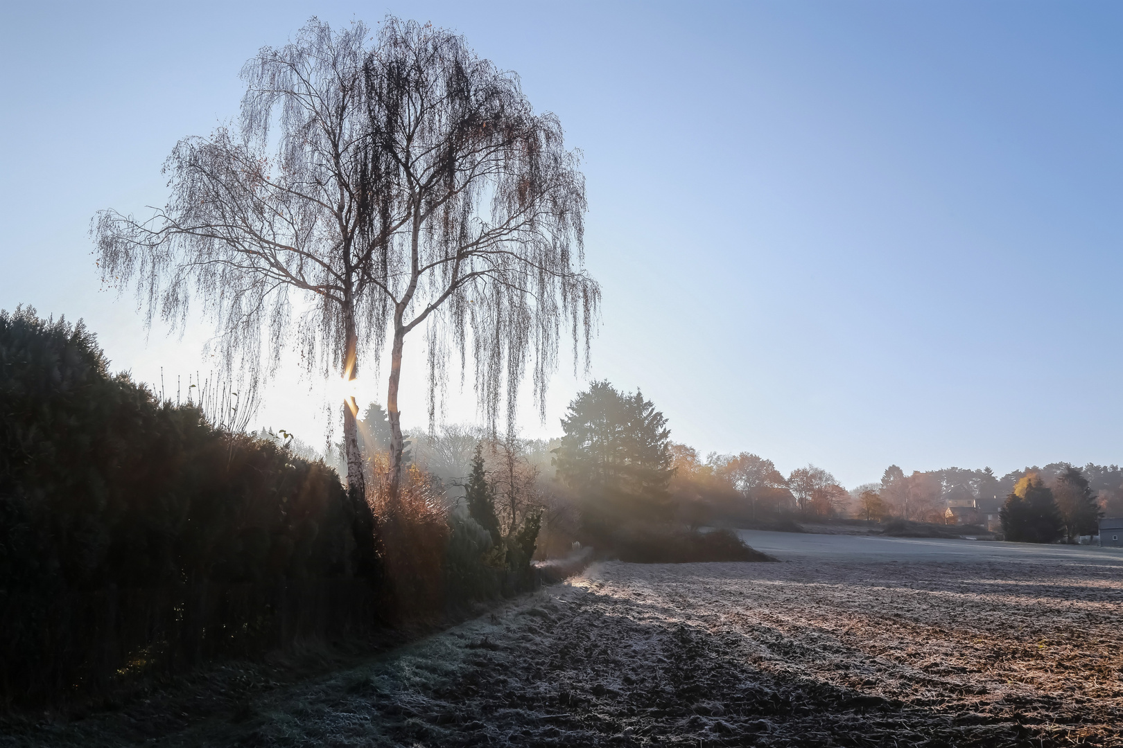 Stille Foto & Bild | spezial, outdoor, bäume Bilder auf fotocommunity