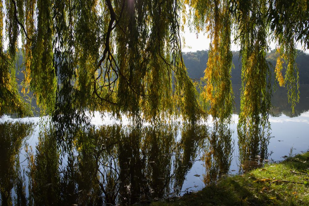 Stille Foto & Bild | see, spiegelung, ruhe Bilder auf fotocommunity