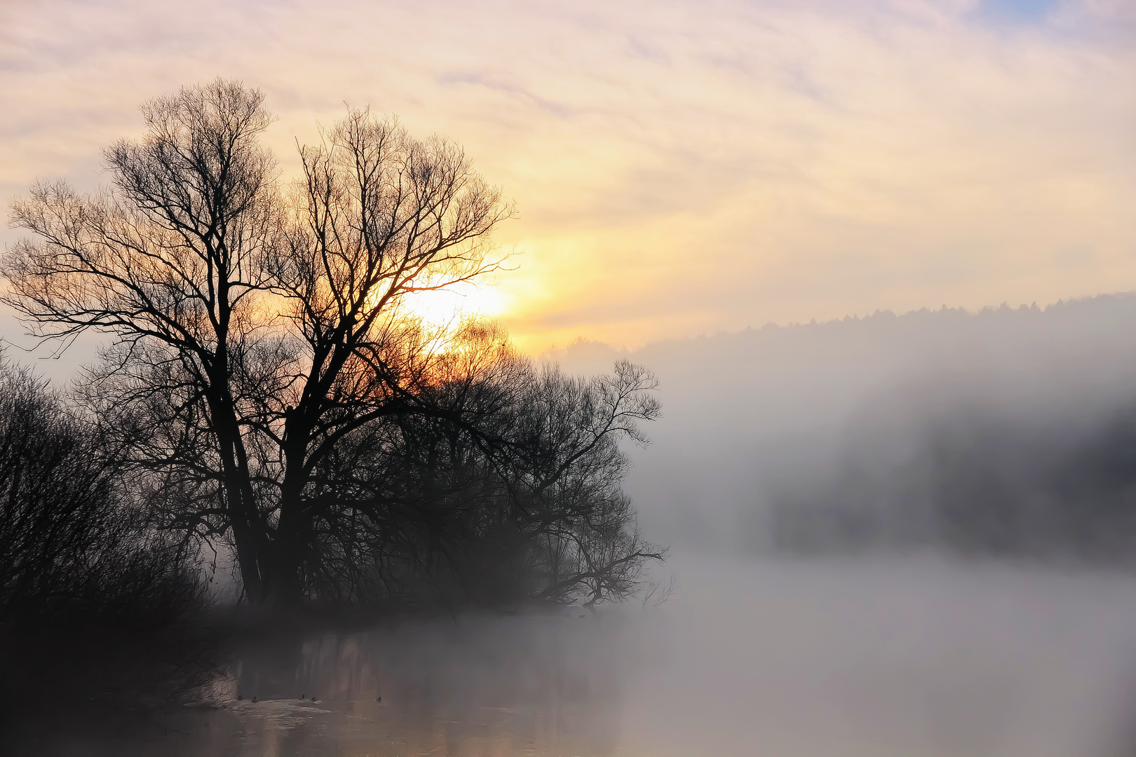Stille Foto & Bild | world, sonnenaufgang, natur Bilder auf fotocommunity