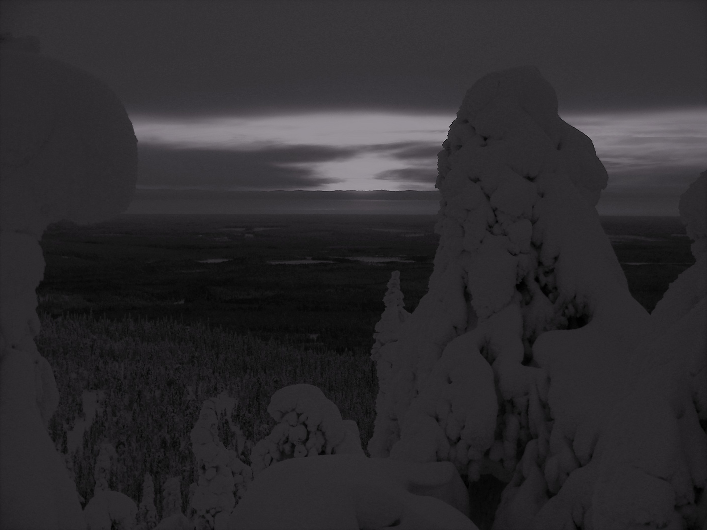 Stille Wälder Foto & Bild | landschaft, wald, bäume Bilder auf ...