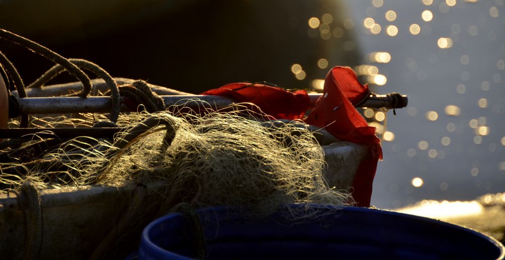 Stille Zeit Foto & Bild | deutschland, europe, mecklenburg- vorpommern ...