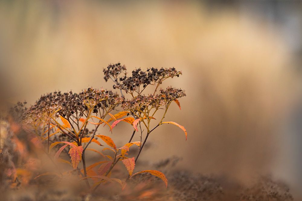 stille Zeit Foto & Bild | natur, winterstimmung, still Bilder auf ...