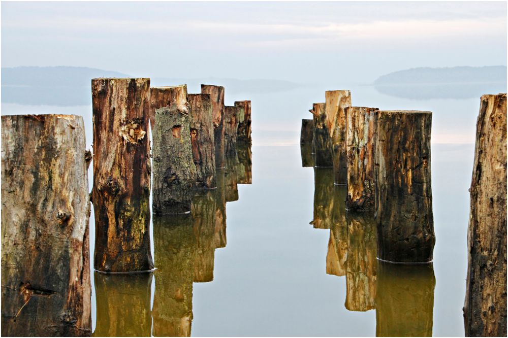 stilles Wasser Foto & Bild | deutschland, europe, mecklenburg ...