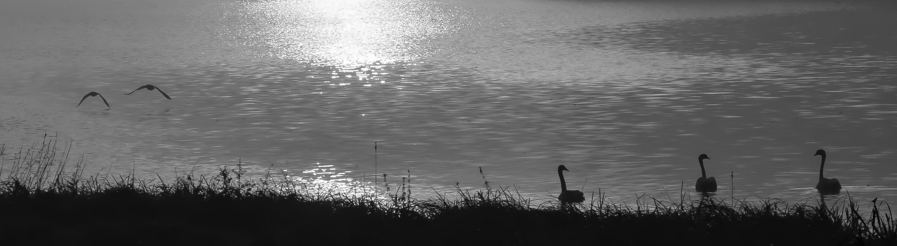 Stilles Wasser #11 Foto & Bild | natur, see, landschaft Bilder auf ...