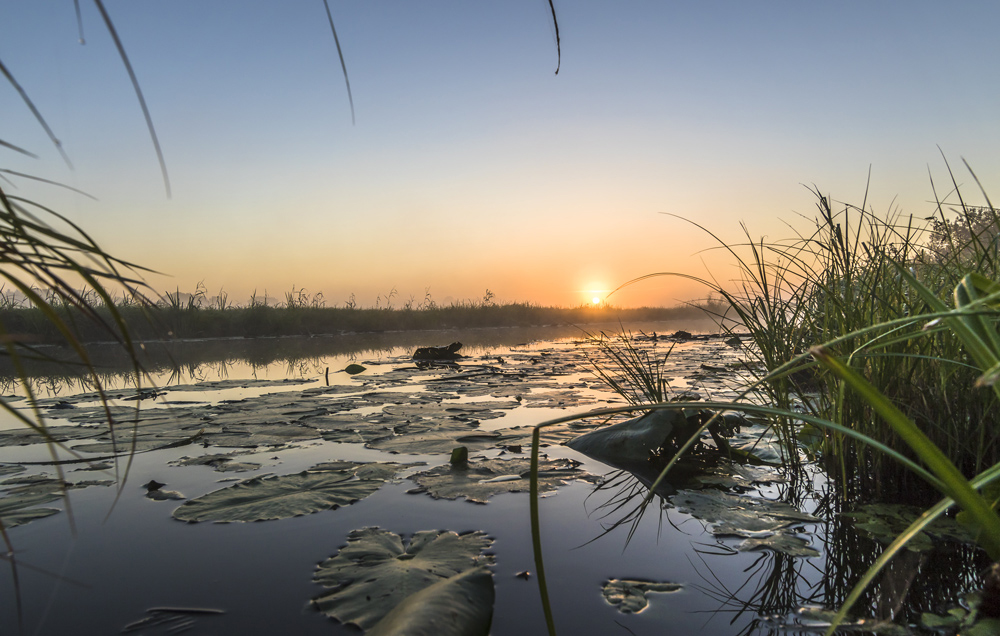 Stilles Wasser Foto And Bild Wasser Sonnenaufgang Felder Bilder Auf Fotocommunity
