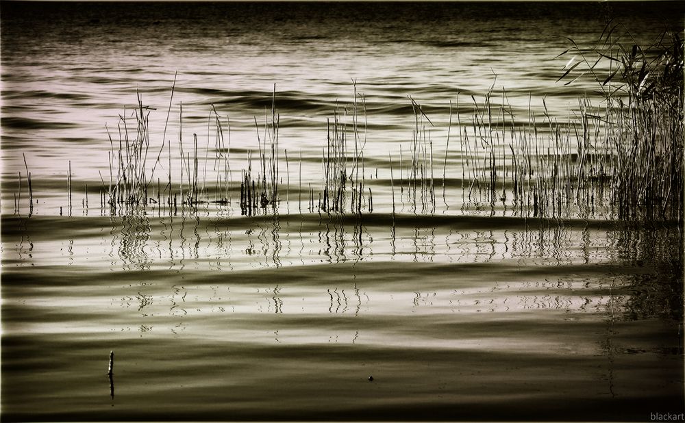 stilles wasser . Foto & Bild | art, spezial, wasser Bilder auf ...