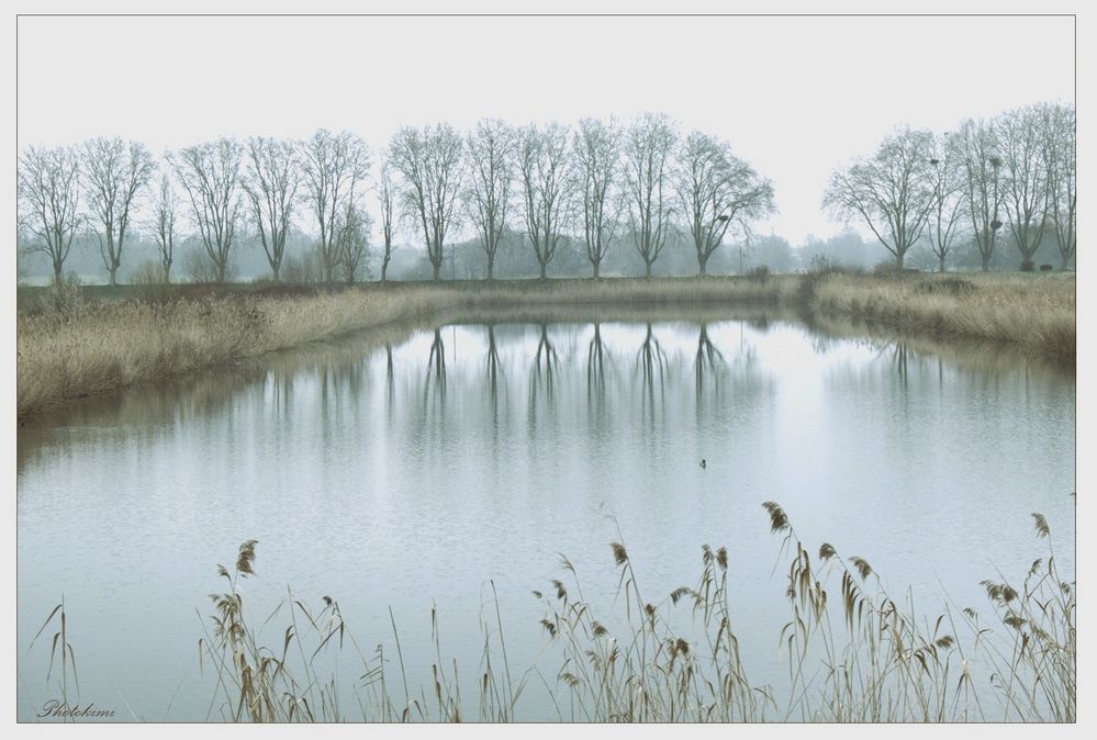 Stilles Wasser Foto & Bild | spezial, natur, landschaft Bilder auf ...