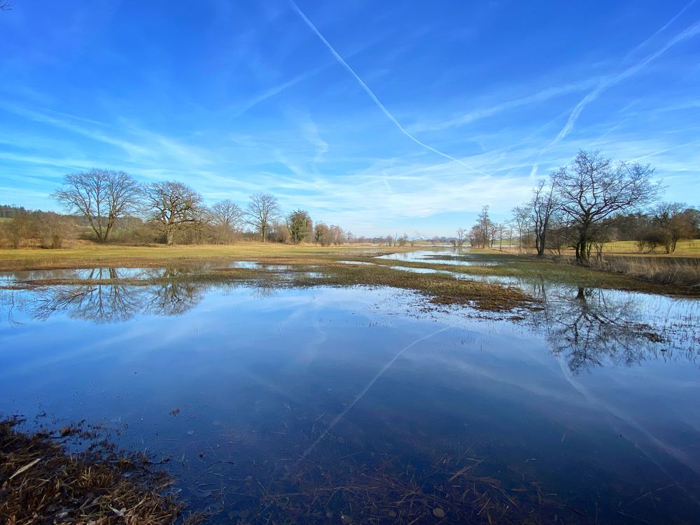 Stilles Wasser Foto & Bild | see, spiegelung, kanton zürich Bilder auf ...