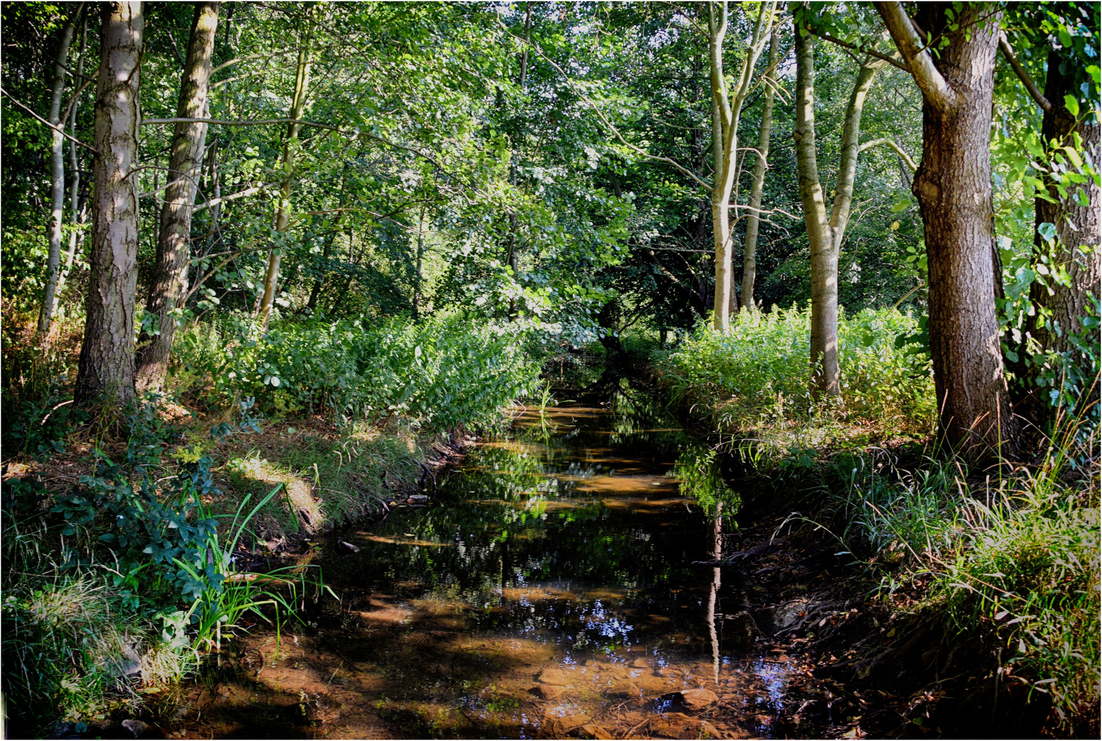 Stilles Wasser Foto And Bild Sommer Natur Landschaft Bilder Auf Fotocommunity