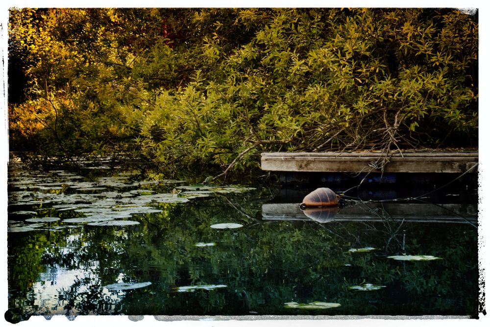 stilles Wasser Foto & Bild | natur, landschaft, bach Bilder auf ...