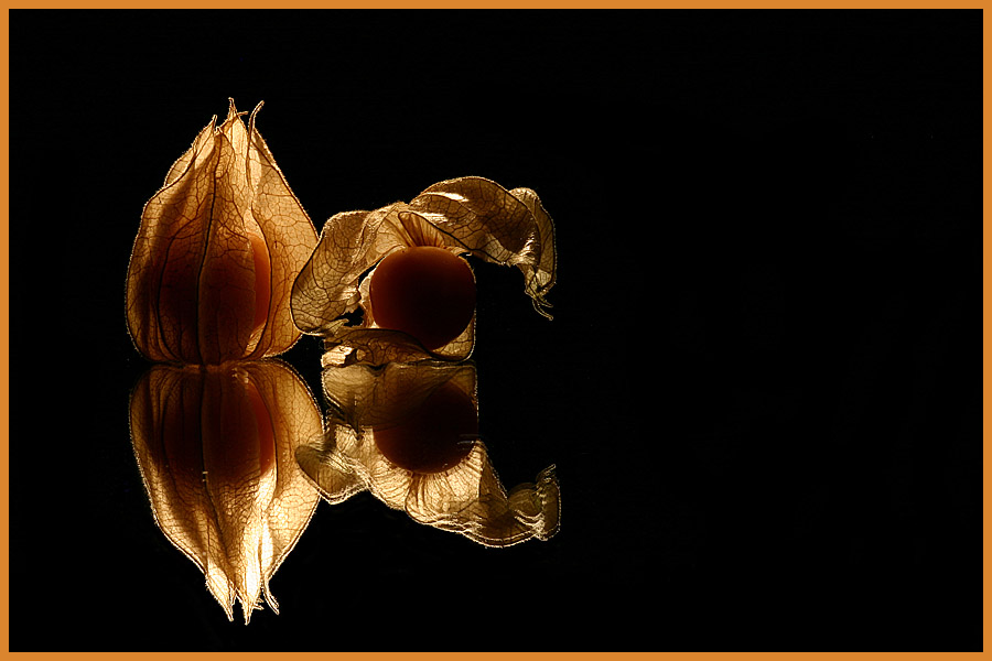 Stillleben Foto & Bild | stillleben, food-fotografie, obst & gemüse ...