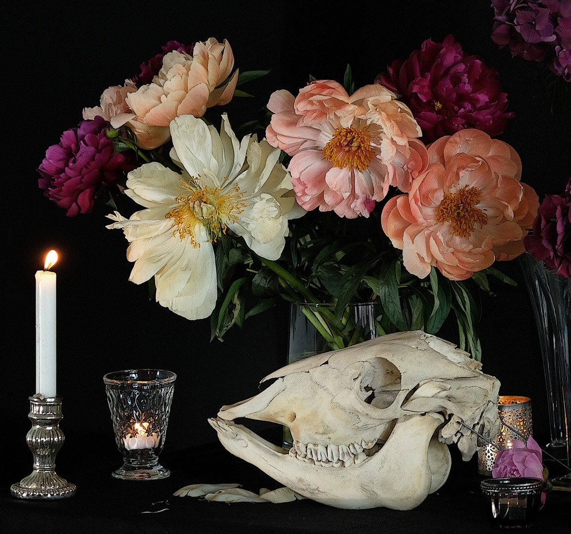 Stillleben mit Pfingstrosen Foto & Bild | natur-kreativ, natur ...