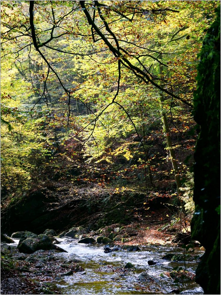 STMK 289 ... Foto & Bild | europe, Österreich, steiermark Bilder auf ...