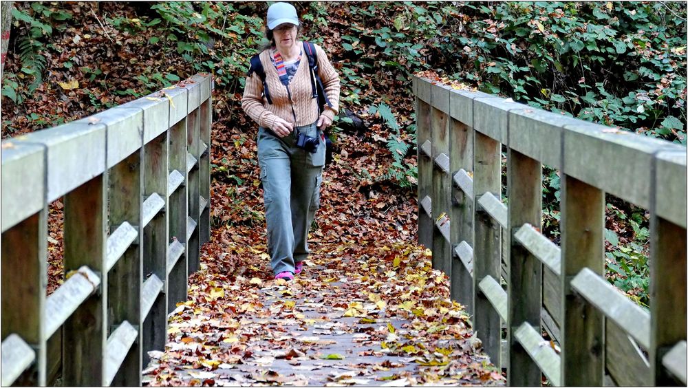 STMK 296 ... Foto & Bild | erwachsene menschen, alltagsereignisse, menschen in der freizeit ...