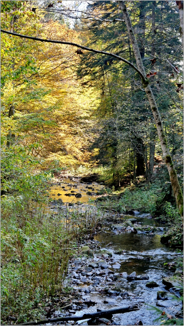 STMK 309 ... Foto & Bild | europe, Österreich, steiermark Bilder auf ...