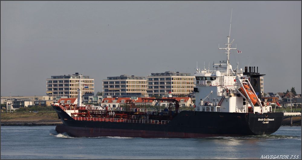 STOLT GUILLEMOT, Chemical Tanker, Rotterdam Foto & Bild | schiffe und ...