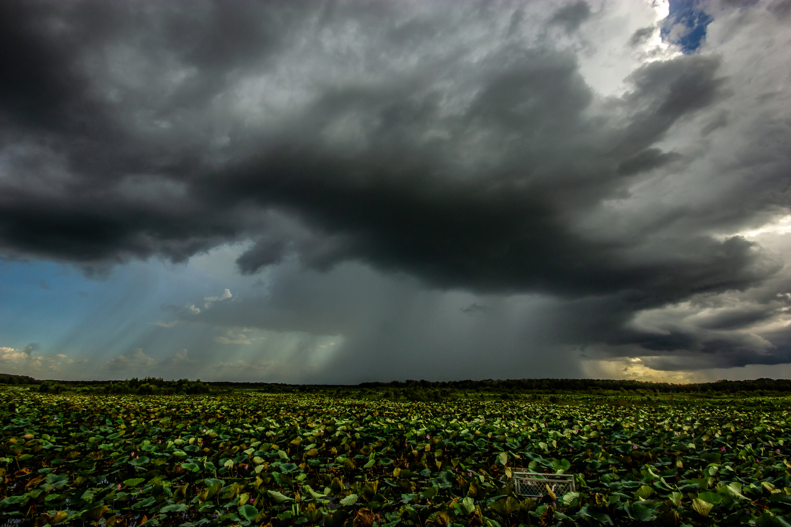 Storm, Fogg Dam Reserve, Wetlands, Northern Territory, Australia Foto ...