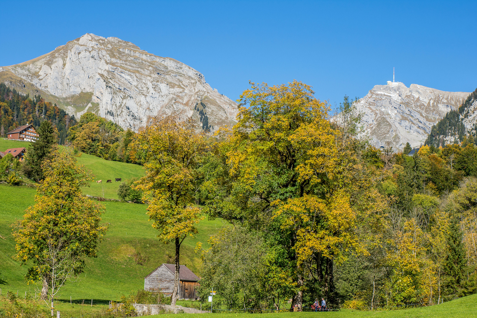 Stoss und Säntis Foto & Bild | natur, herbst, landschaft Bilder auf ...