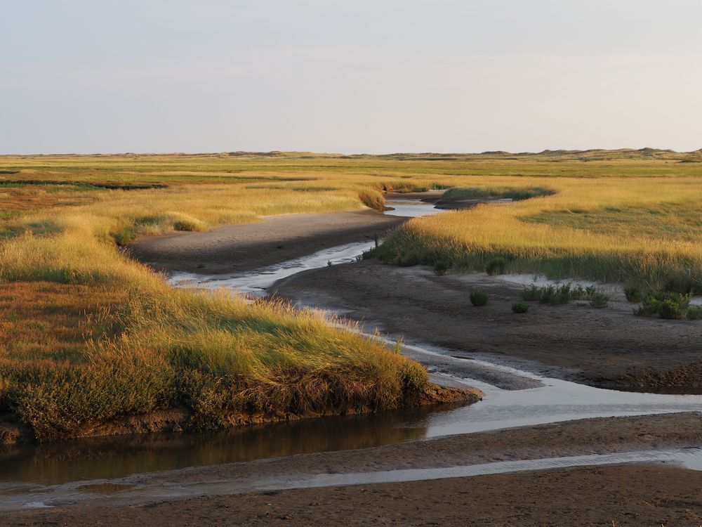 St.Peter Ording Foto & Bild | landschaft, jahreszeiten, meer & strand ...