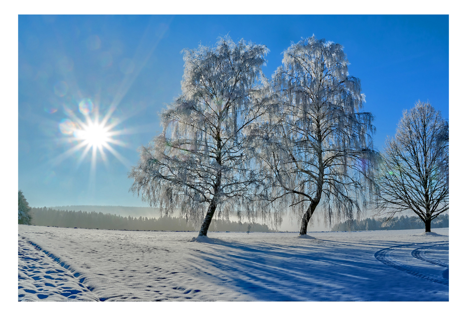 Strahlender Wintertag Foto & Bild | jahreszeiten, winter, projekte Bilder auf fotocommunity